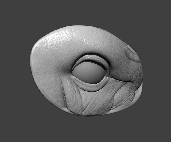 ArtStation - Rhino Eye Socket Highpoly Sculpt | Resources