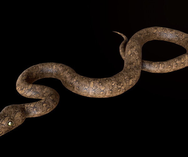ArtStation - Snake Python 3d Model | Game Assets
