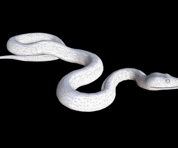 ArtStation - Snake Python 3d Model | Game Assets