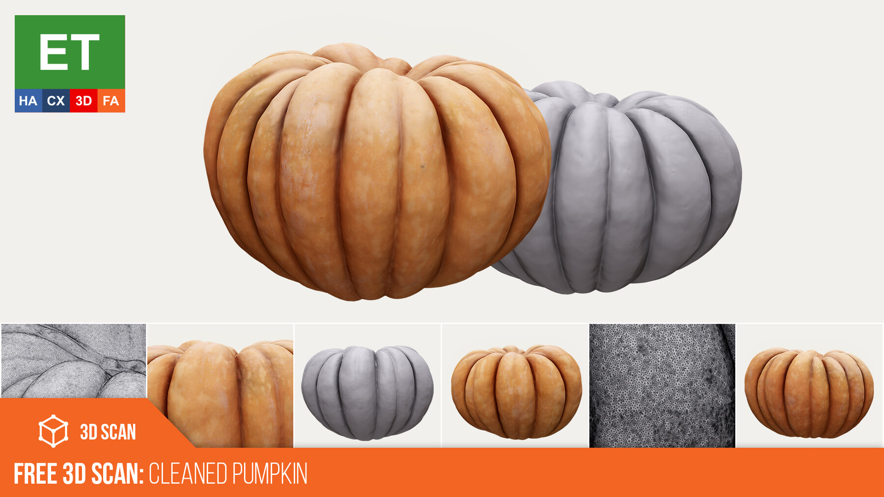ArtStation - FREE Cleaned Pumpkin 3D Scan | Resources