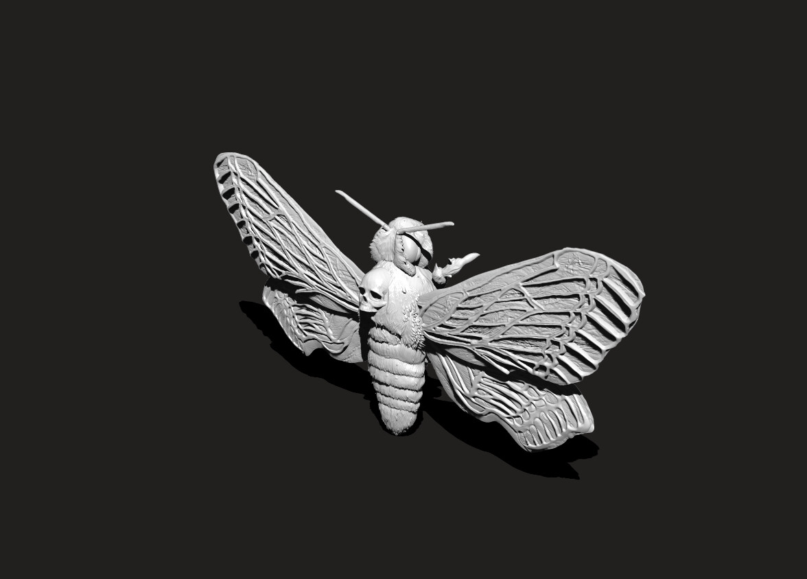 ArtStation - Death Head Hawk Moth Skull Fantasy Creature | Resources