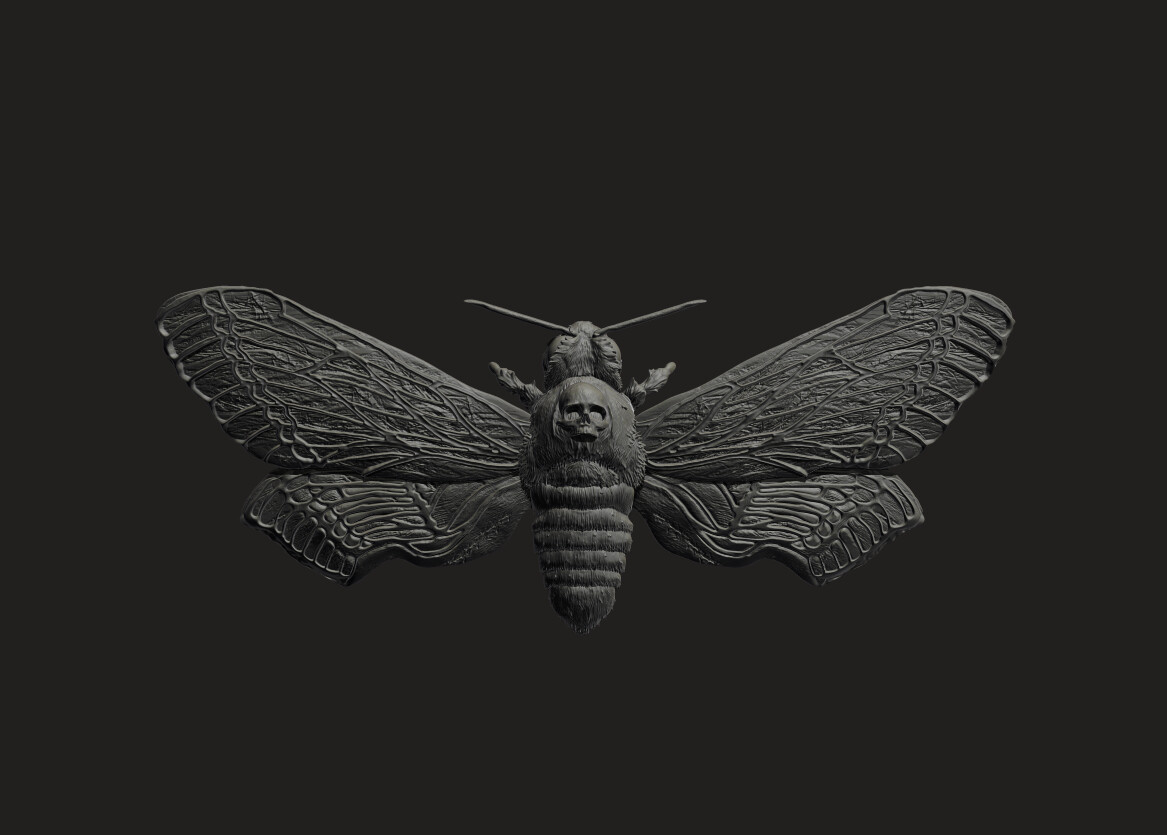 ArtStation - Death Head Hawk Moth Skull Fantasy Creature | Resources