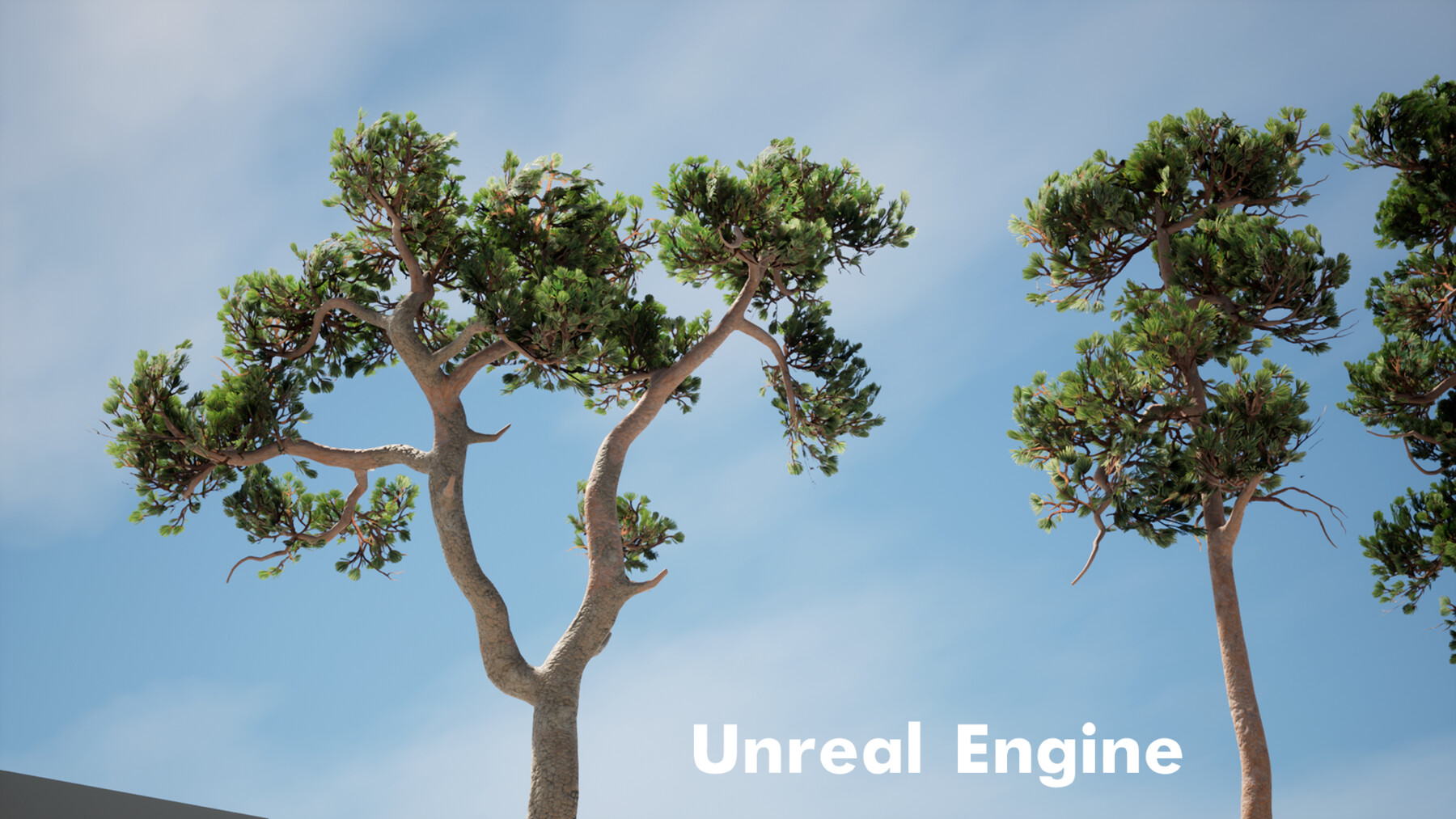 ArtStation - Pines Pack | Game Assets