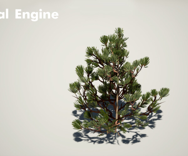 ArtStation - Pines Pack | Game Assets