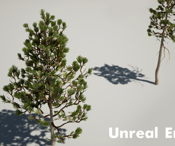 ArtStation - Pines Pack | Game Assets