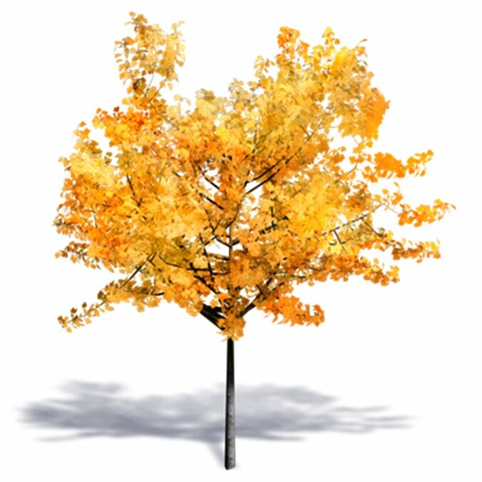 ArtStation - Resource-Plant Generic Tree Autumn | Resources