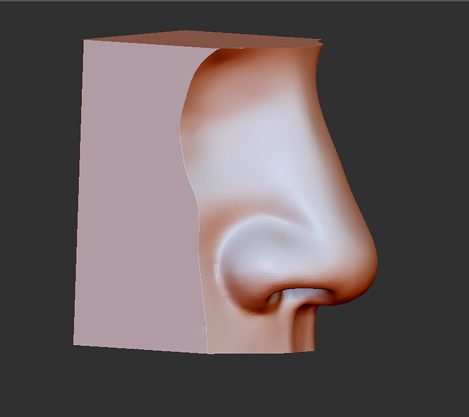 ArtStation - Human nose model,It can be printed in 3D,Organ nose,thank ...