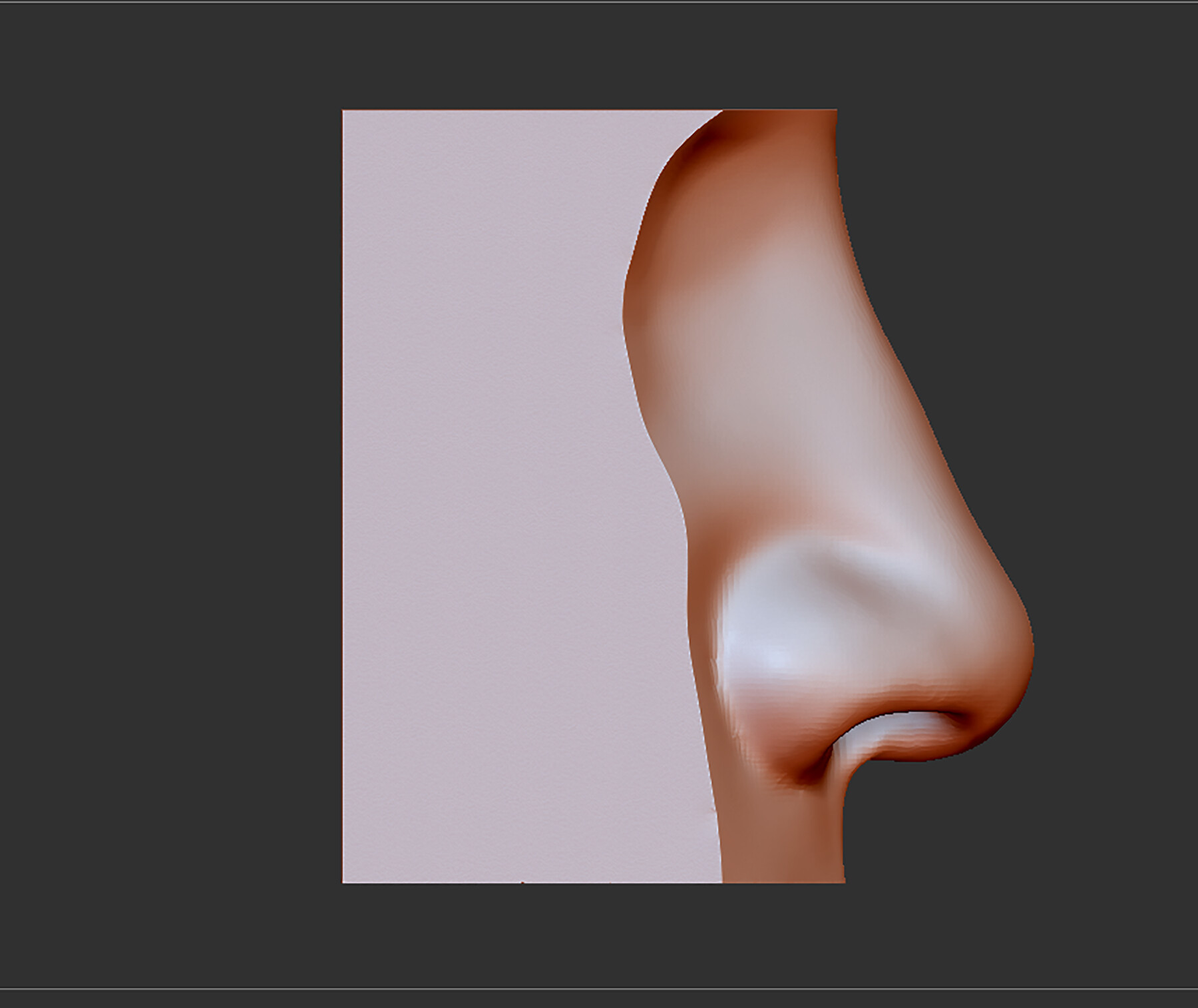 ArtStation - Human nose model,It can be printed in 3D,Organ nose,thank ...
