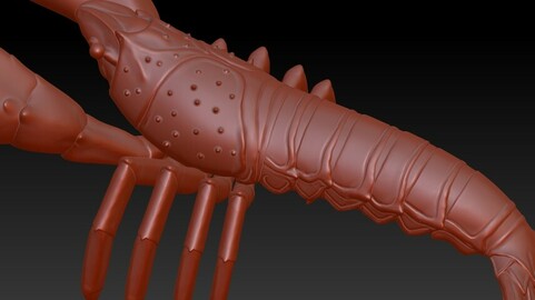 ArtStation - Simulation of crayfish sculpture download, crayfish model ...