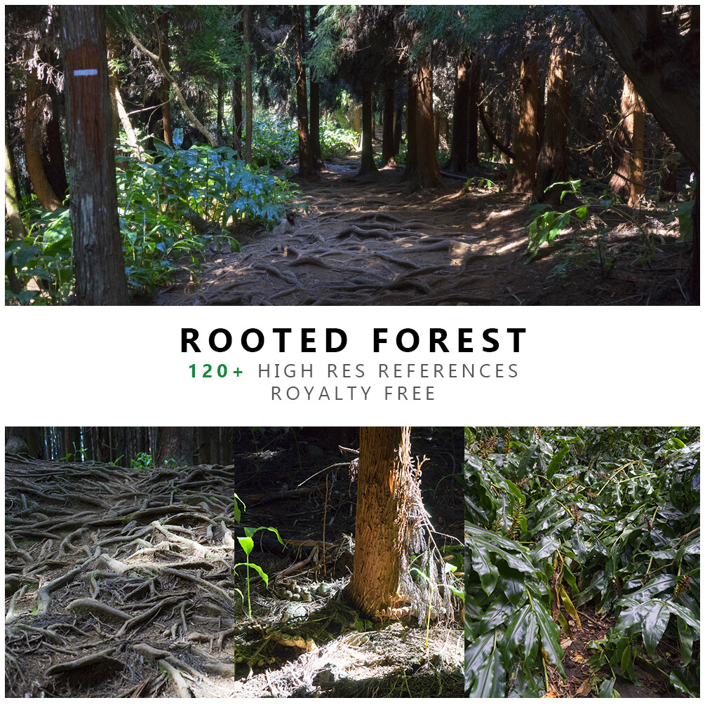 ArtStation - Rooted Forest Texture PACK | Resources