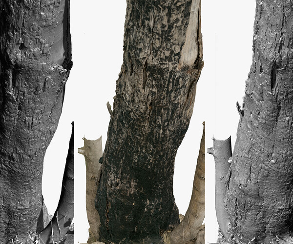 ArtStation - Burnt Tree Trunk 5x4k \ 2x16k Textures | Game Assets