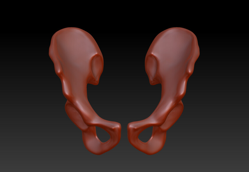ArtStation - Download 3D model of human hip bone, | Resources
