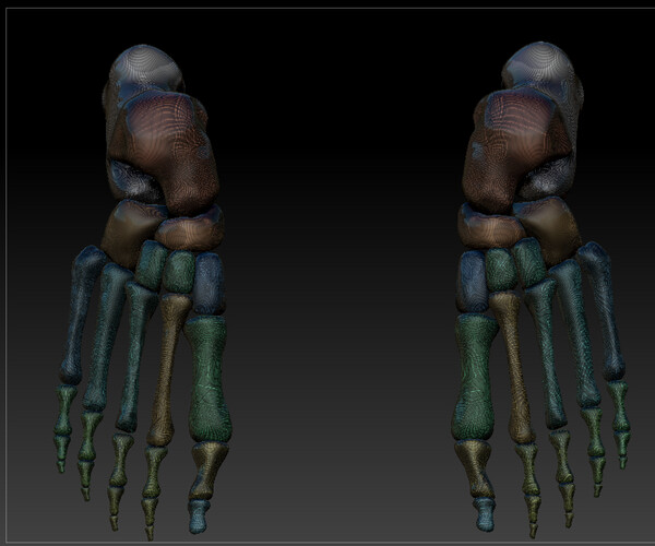 ArtStation - Human foot 3D model, human foot structure 3D printing ...