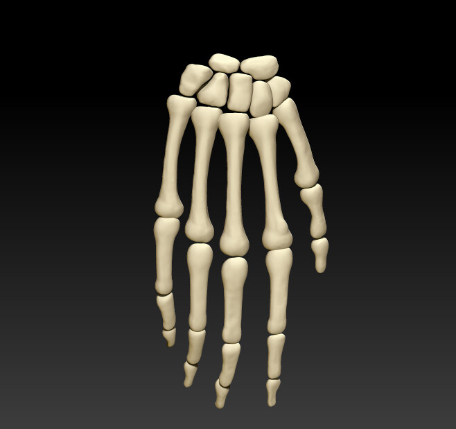 ArtStation - The 3D printing and downloading of human bone structure ...