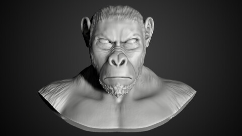 ArtStation - 3d model planet of the apes bust cesar | Resources