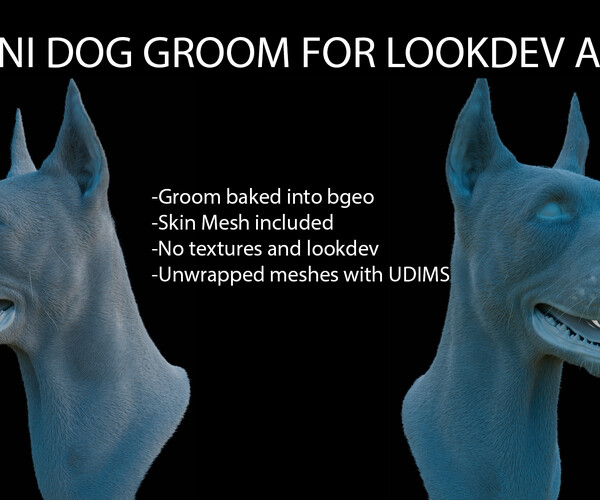 ArtStation - Houdini Dog groom | Resources