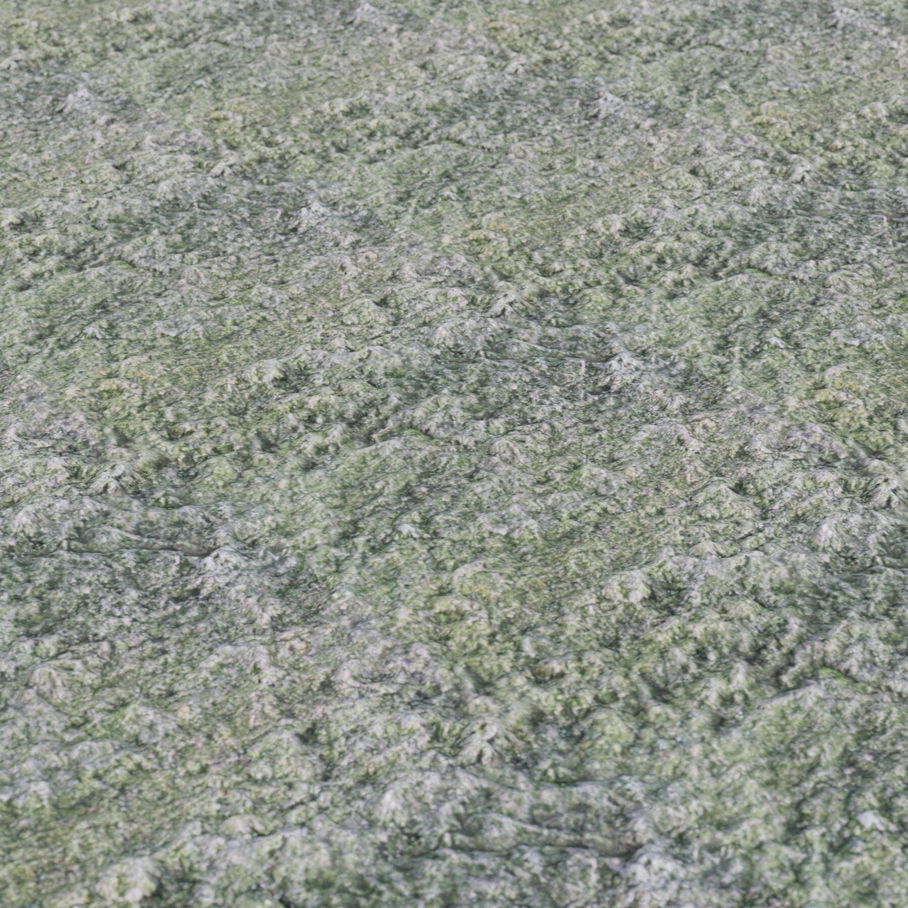 ArtStation - Stone Ground 21 PBR Material | Game Assets