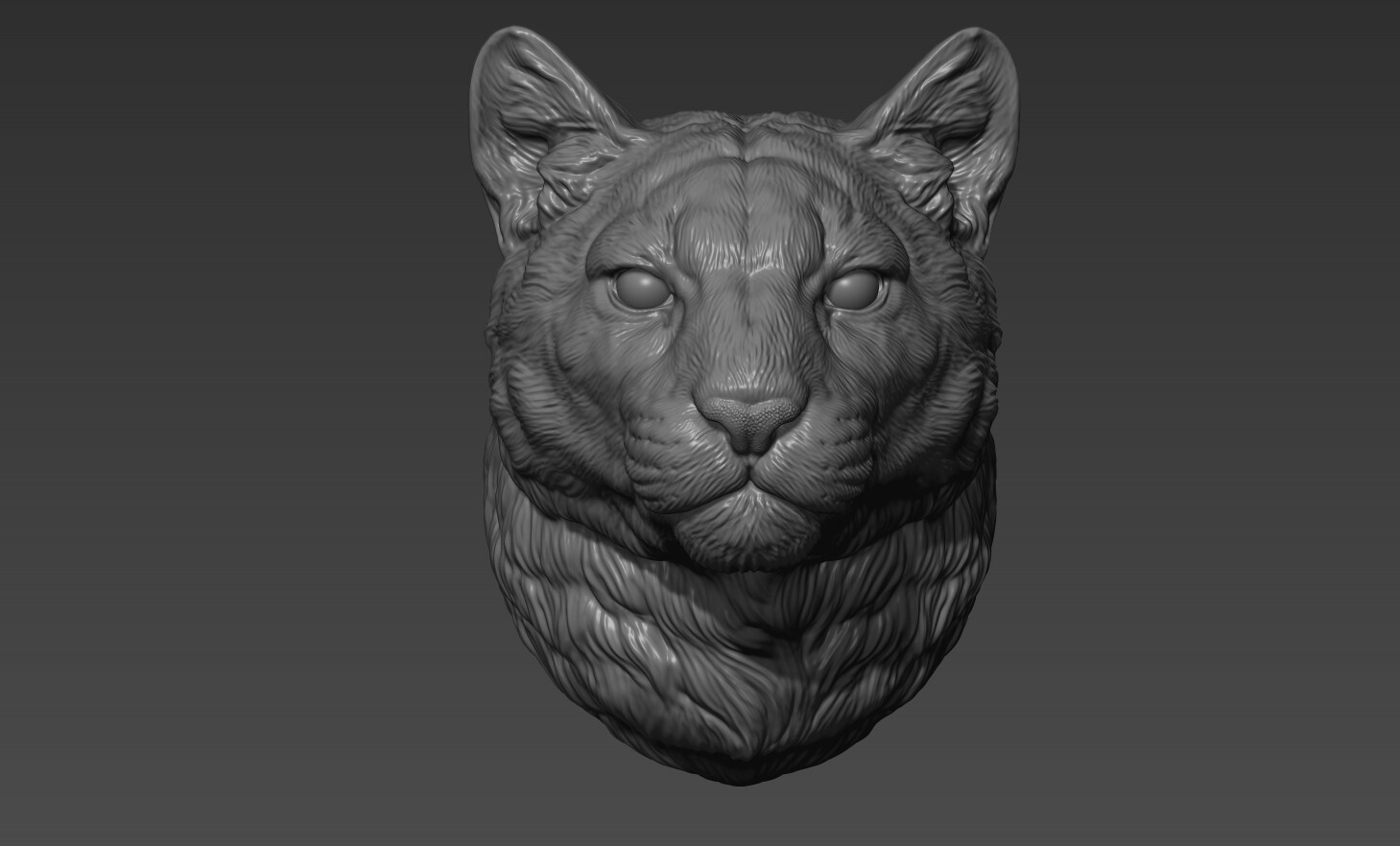 ArtStation - Puma cougar head | Resources