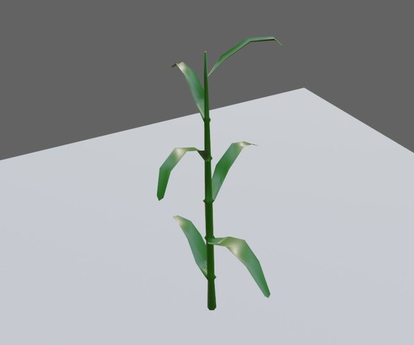 ArtStation - Corn - Plant - Milho - Planta Low-poly 3D model | Game Assets