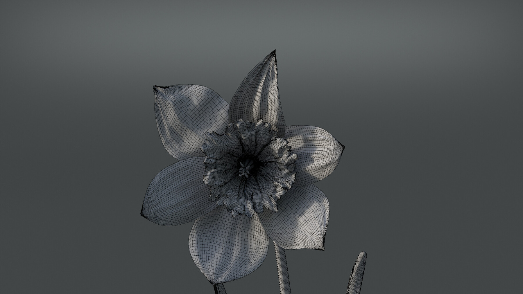 ArtStation - Daffodil Flower Kit | VFX Grace | Game Assets