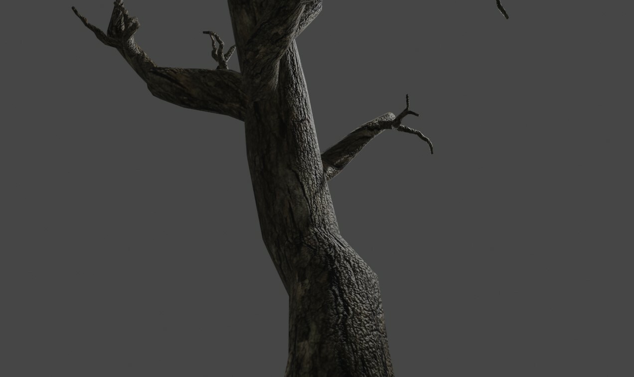 ArtStation - Dry Tree - Arvore Seca Low-poly 3D model | Game Assets
