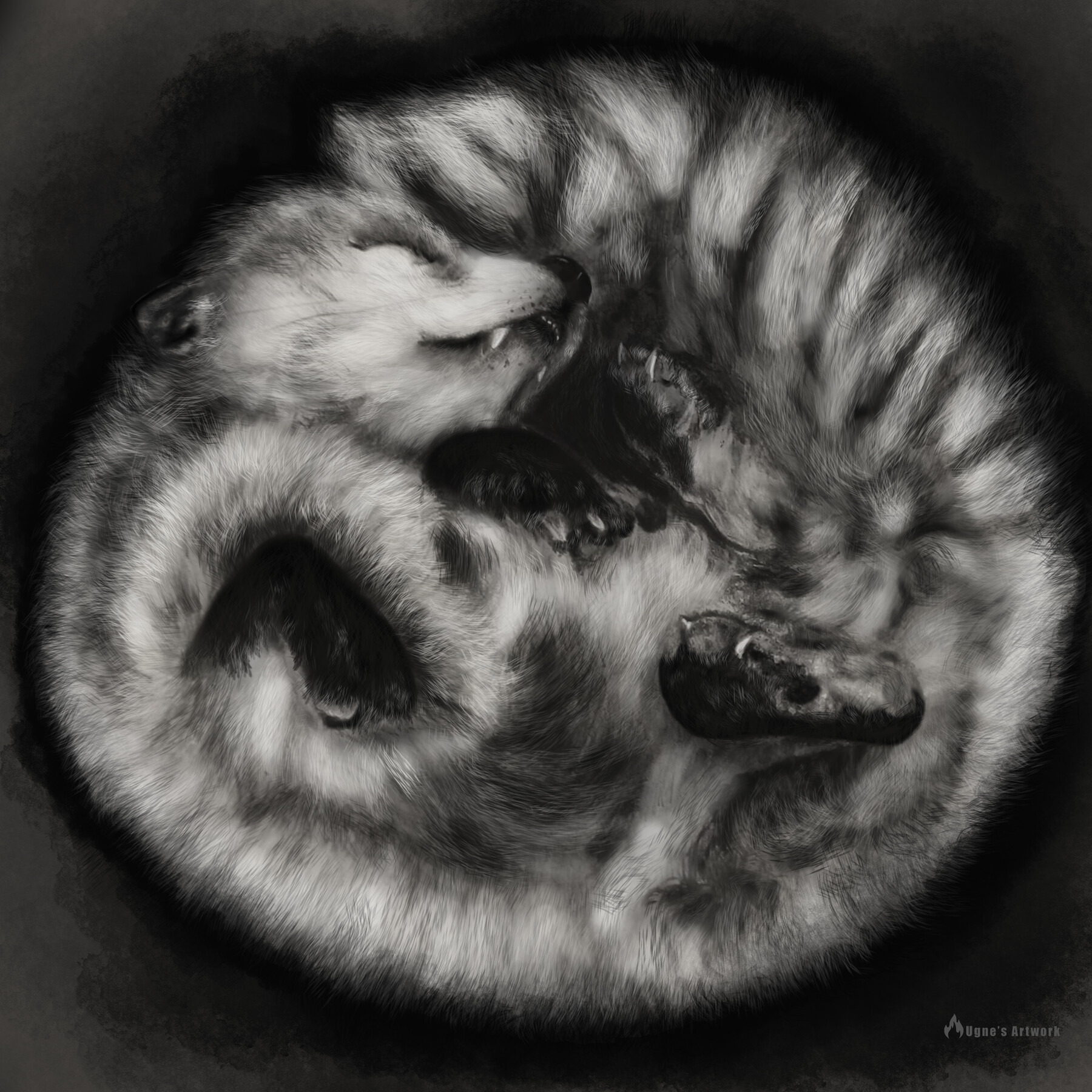 ArtStation - Fluffy Fox Ball | Artworks