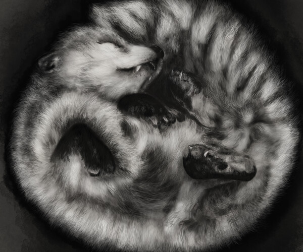 ArtStation - Fluffy Fox Ball | Artworks