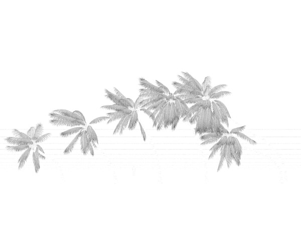 ArtStation - COCONUT TREE VOLUME PACK 02 | Resources