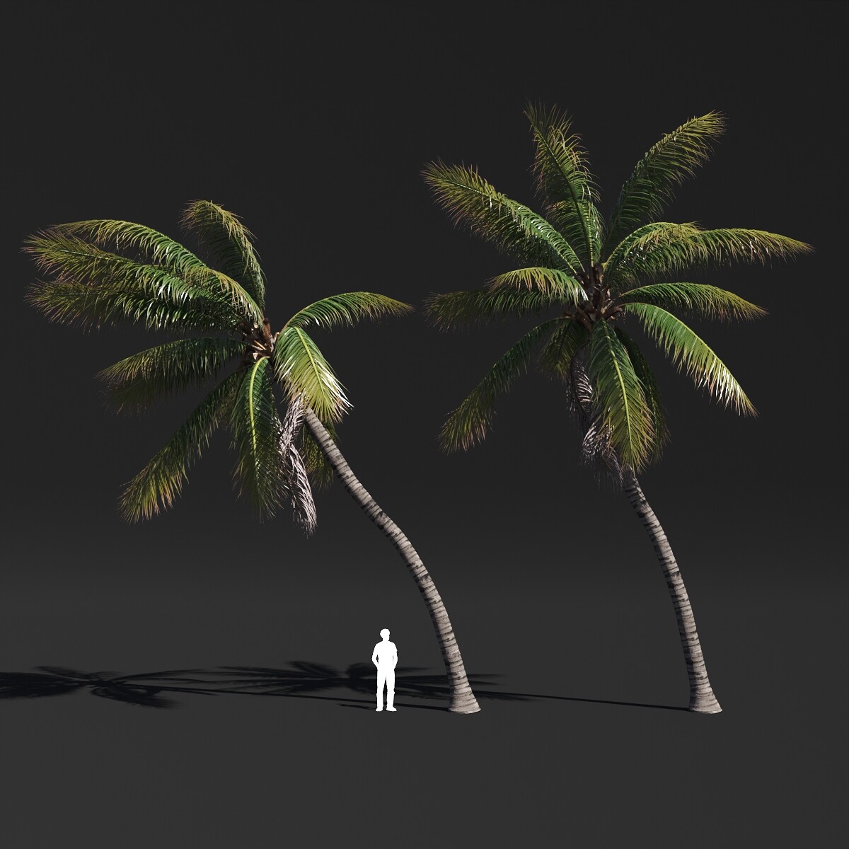 ArtStation - COCONUT TREE VOLUME PACK 02 | Resources