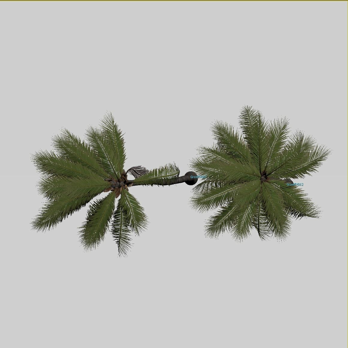 ArtStation - COCONUT TREE VOLUME PACK 02 | Resources