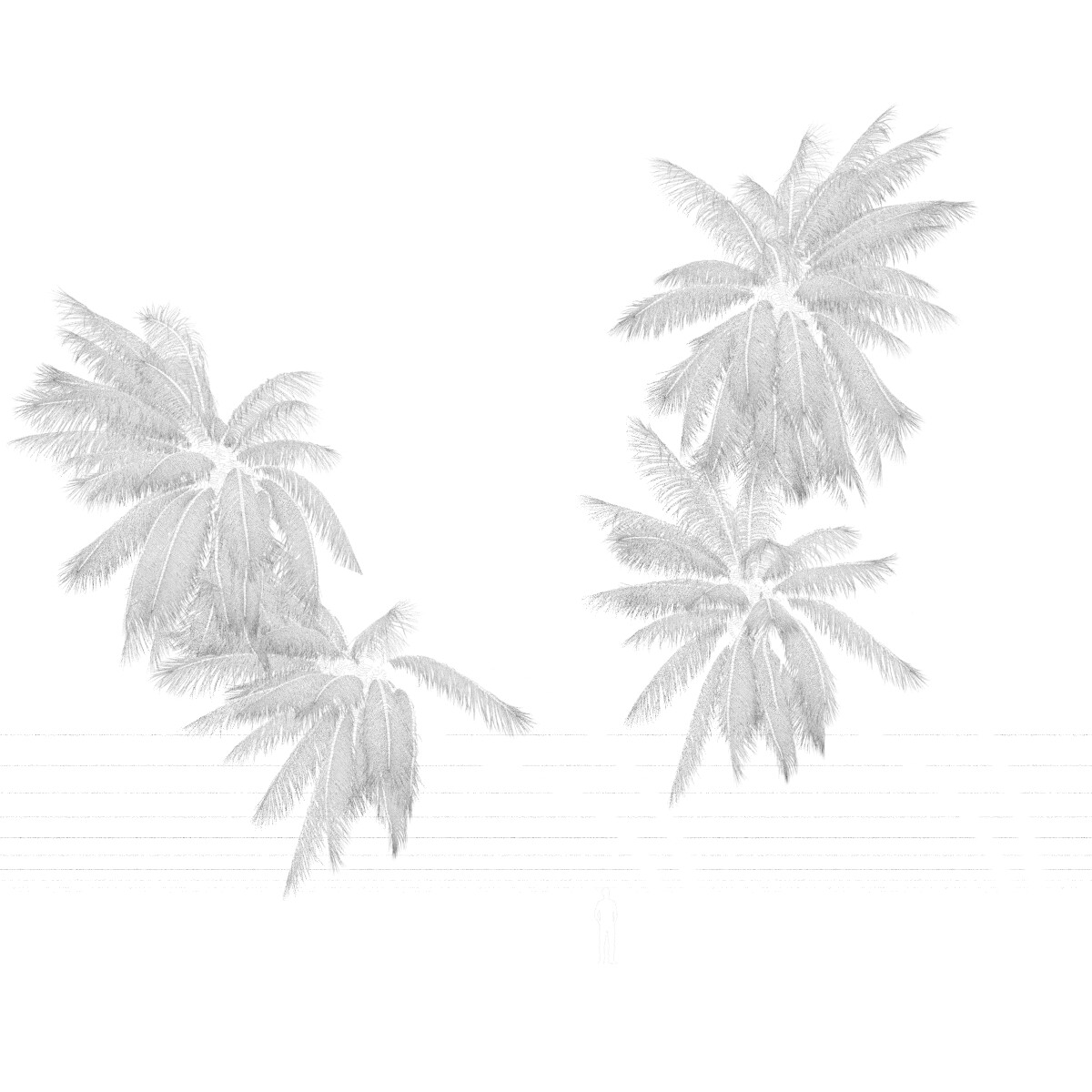 ArtStation - COCONUT TREE VOLUME PACK 02 | Resources