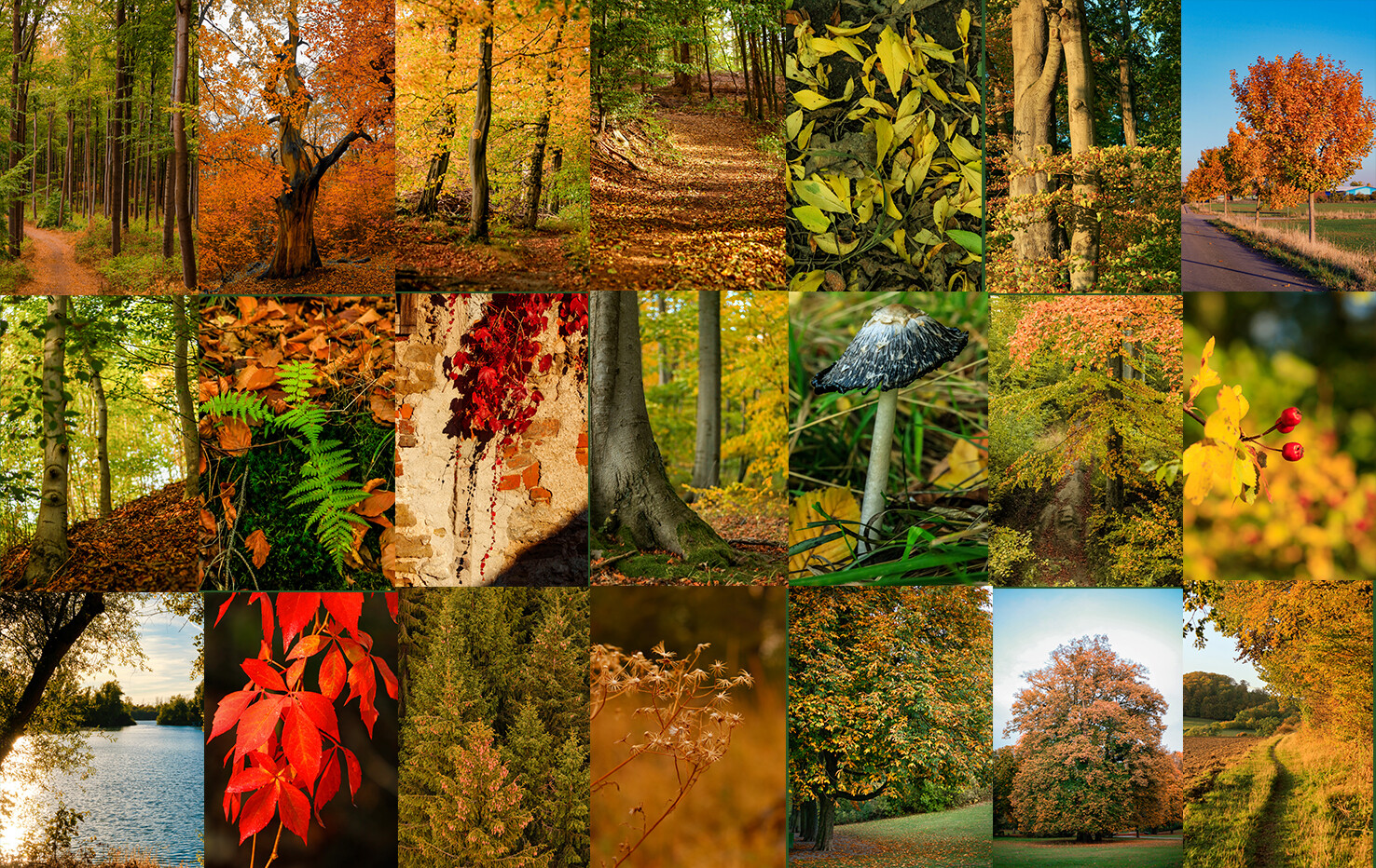 ArtStation - AUTUMN MOOD - Mattepainting / Reference / Photobash Pack ...