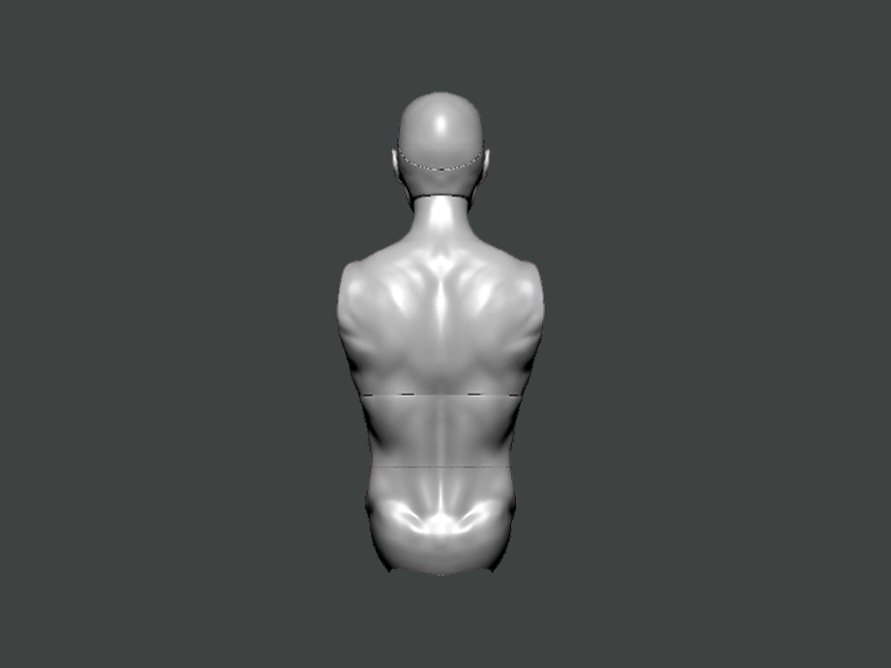 ArtStation - 3D Model-ANATOMY0028 | Resources