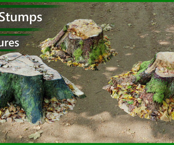 ArtStation - Tree Stumps VOL 01 | Game Assets