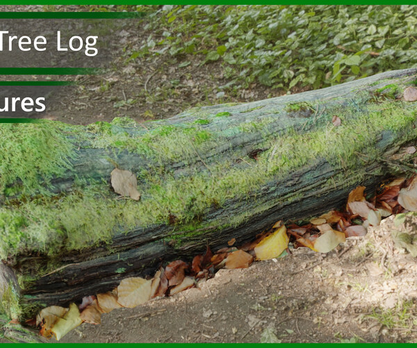 ArtStation - Tree Log VOL 01 | Game Assets