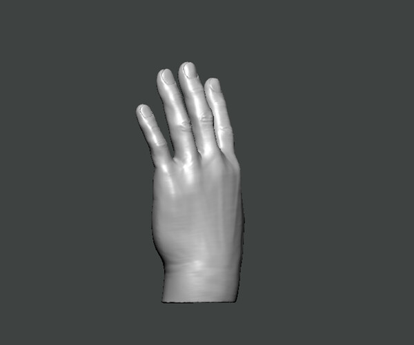 ArtStation - 3D Model-HAND0001 | Resources