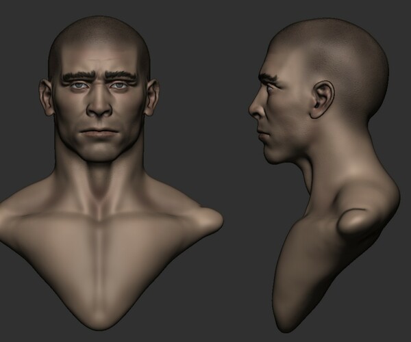 ArtStation - Base mesh head | Resources