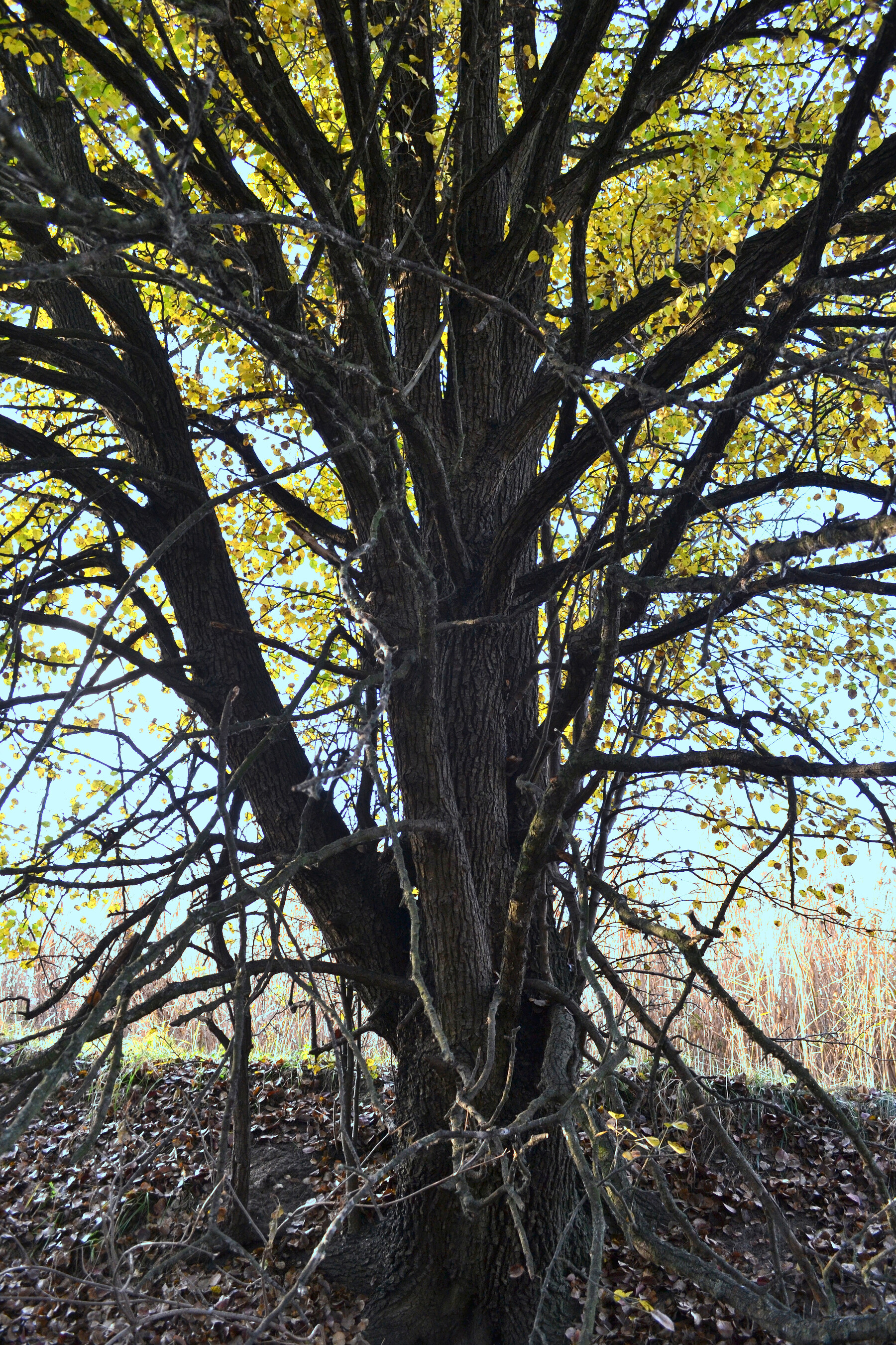 ArtStation - Tales of Autumn | Reference Pack | Resources