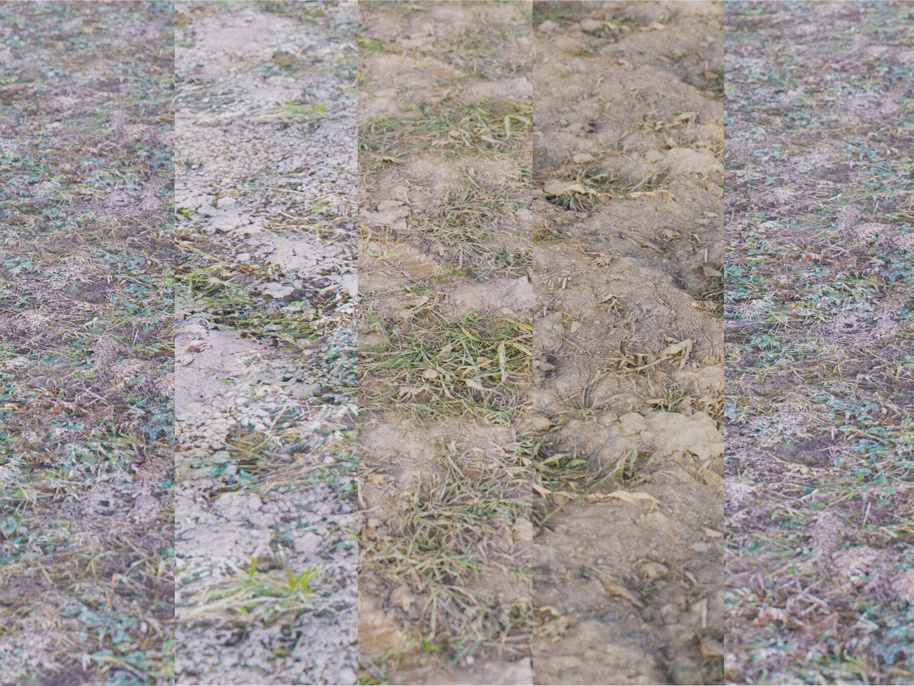 ArtStation - Dirty Grass Materials Pack - 5 PBR Materials | Game Assets