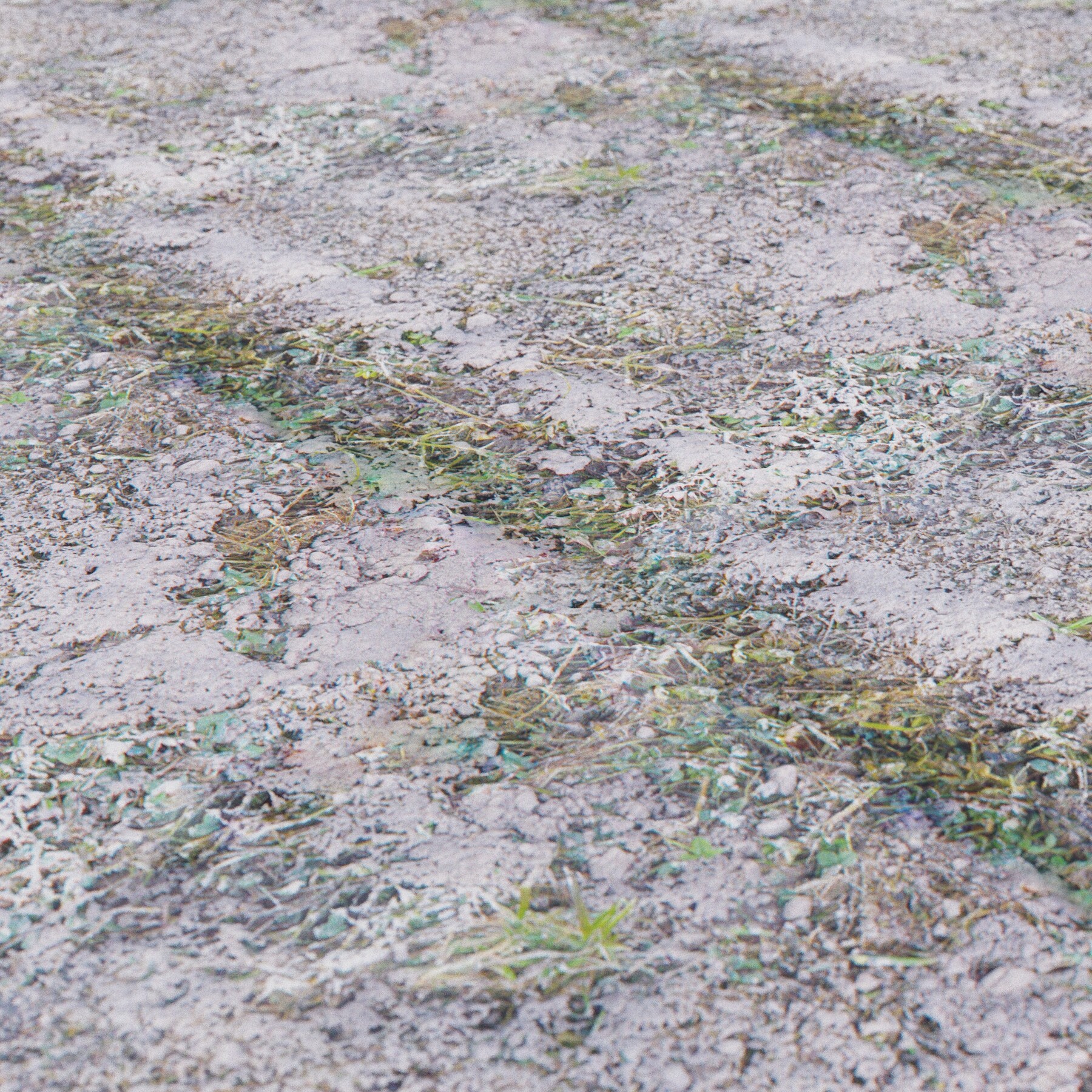 ArtStation - Dirty Grass Materials Pack - 5 PBR Materials | Game Assets