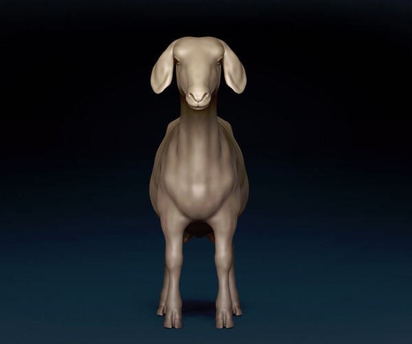 ArtStation - Goat Base Mesh 3D Model | Resources