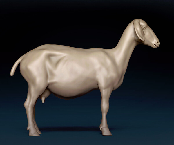 ArtStation - Goat Base Mesh 3D Model | Resources