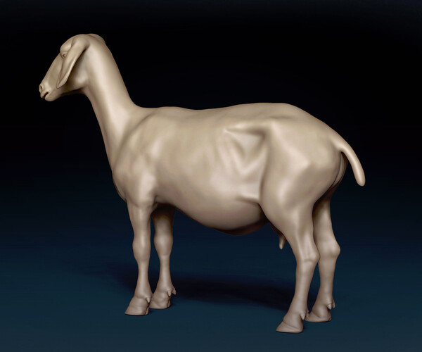 ArtStation - Goat Base Mesh 3D Model | Resources