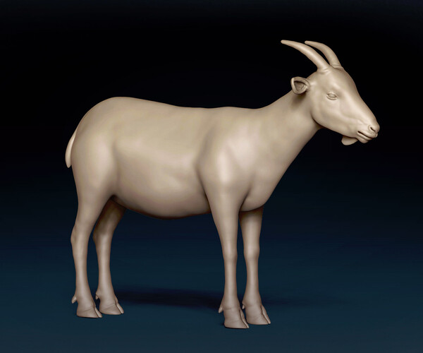 ArtStation - Male Goat Base Mesh 3D Model | Resources