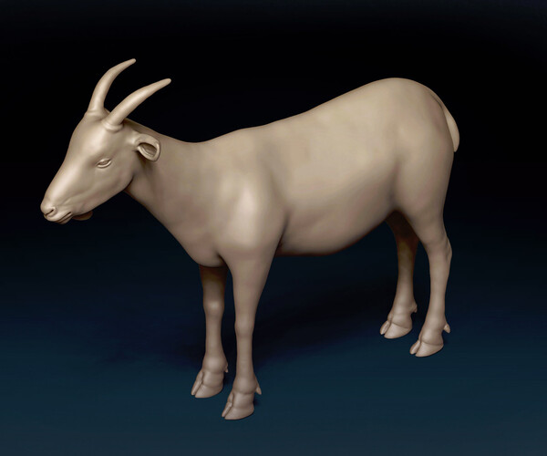 ArtStation - Male Goat Base Mesh 3D Model | Resources