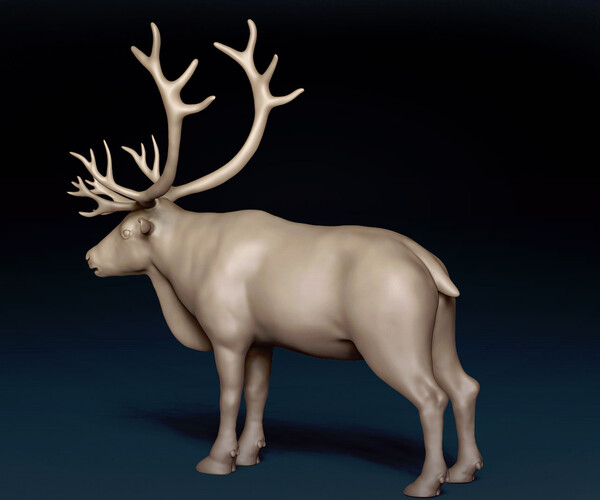 ArtStation - Male ReinDeer Base Mesh 3D Model | Resources