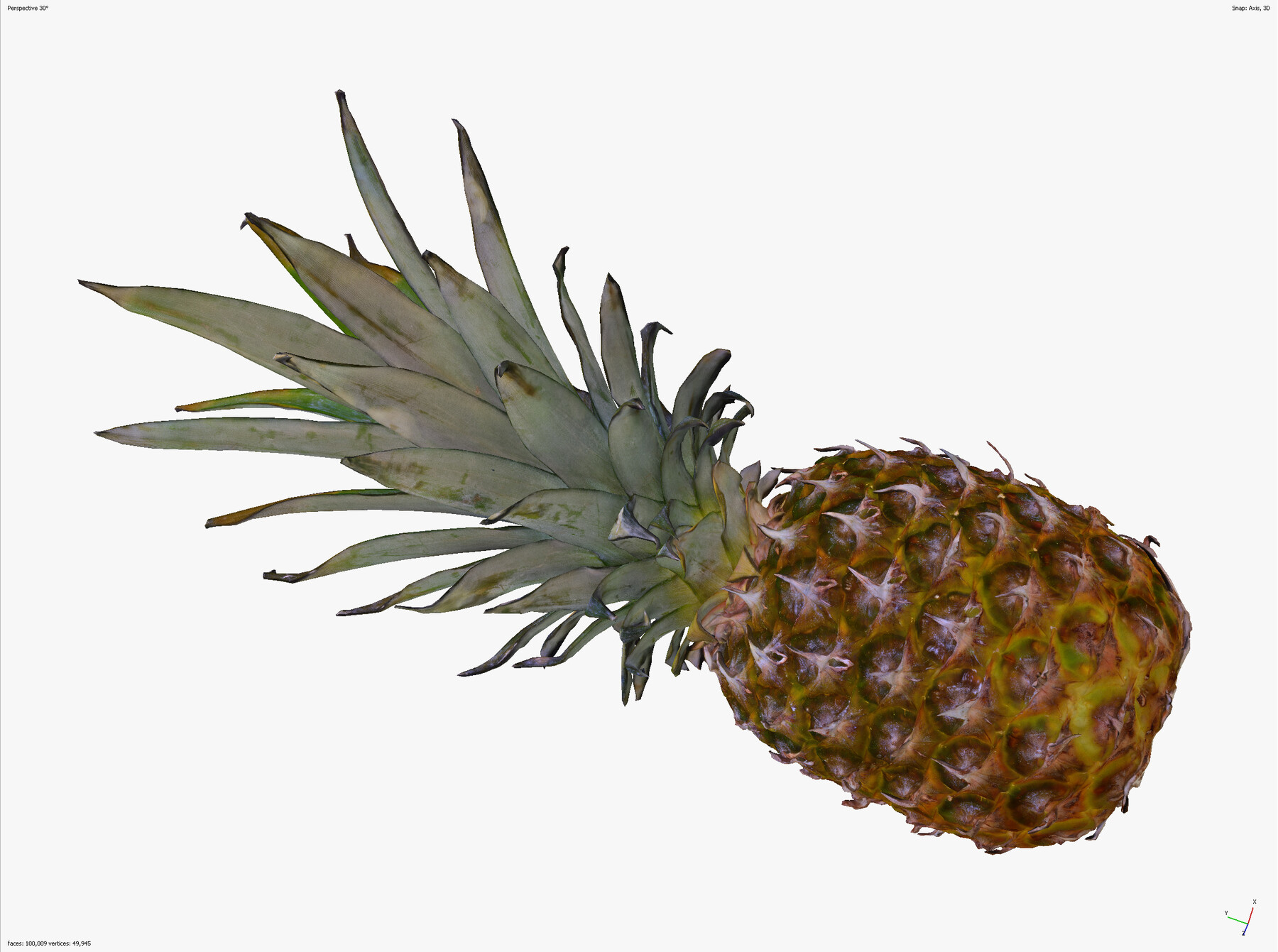 ArtStation - PINEAPPLE FRUIT LOW POLY \ HIGH POLY 3D MODEL - CROSS ...