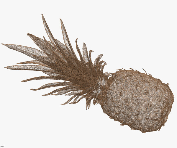 ArtStation - PINEAPPLE FRUIT LOW POLY \ HIGH POLY 3D MODEL - CROSS ...