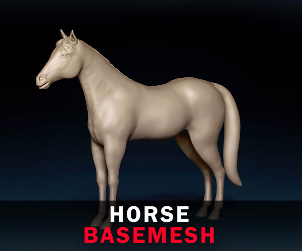 ArtStation - Horse Base Mesh 3D Model | Resources