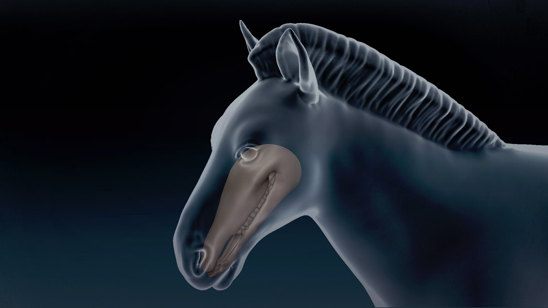 ArtStation - Zebra Base Mesh 3D Model | Resources